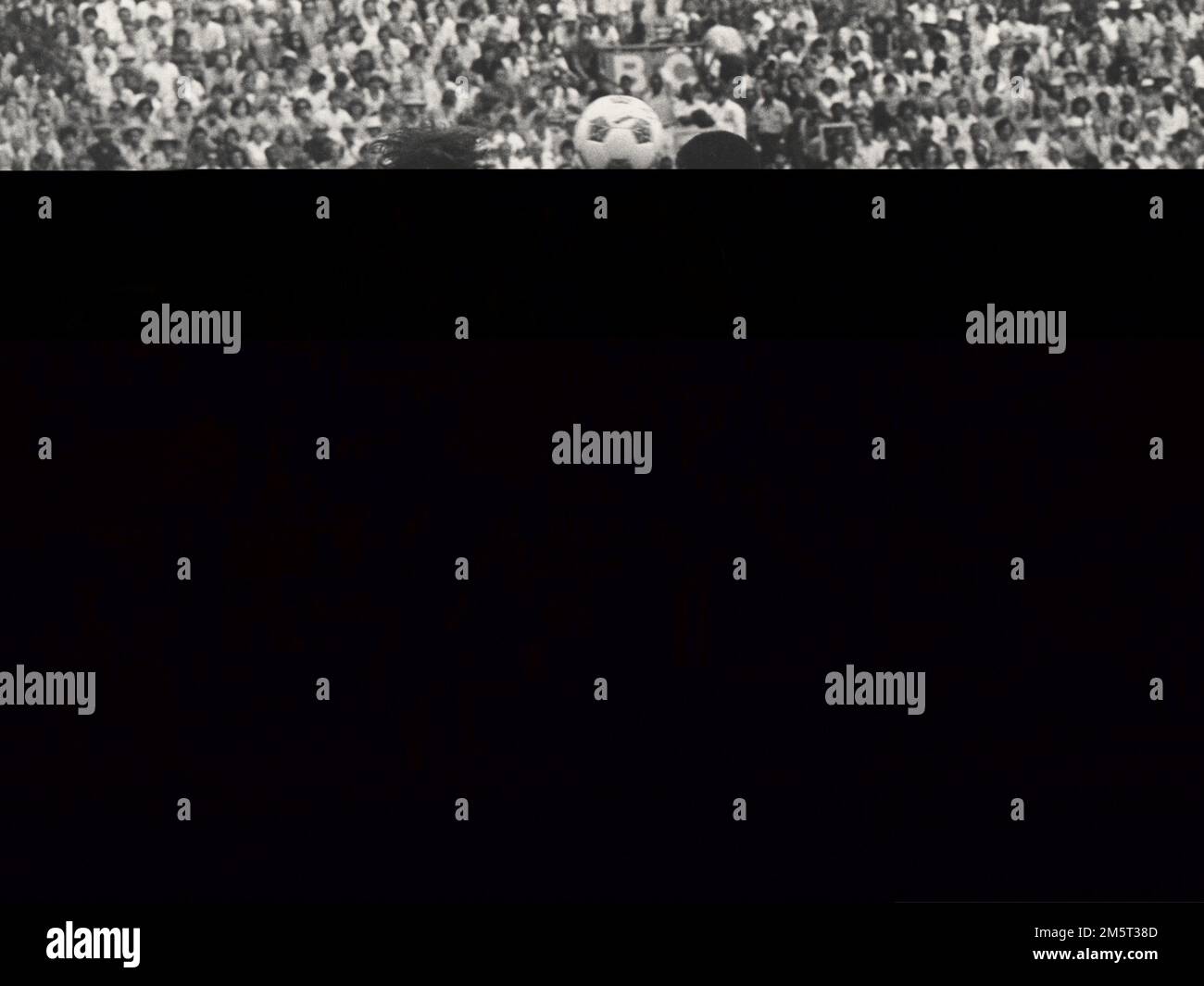 20221230 hi-res stock photography and images - Alamy