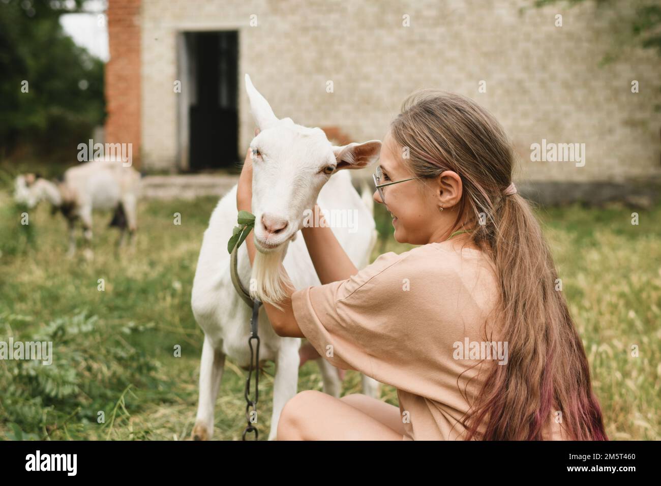 Girl hugging her goat as a friend in the village Stock Photo - Alamy