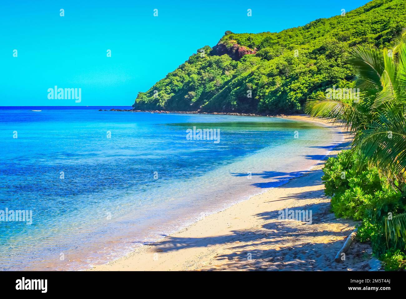 Tropical sandy beach at summer day in Fiji Islands, Pacific ocean Stock ...