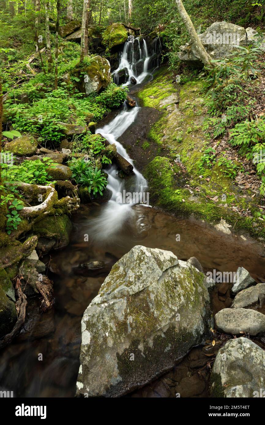 Leslies falls hi-res stock photography and images - Alamy