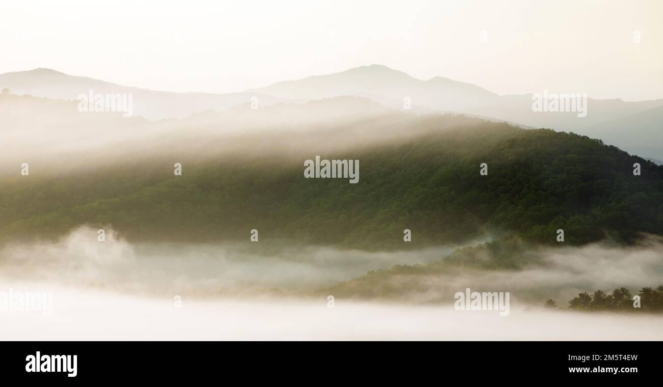 TN00094-00 - Tennessee - View across the foggy rolling hills from ...