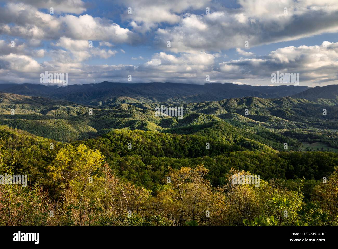 TN00122-00....Tennessee - View across the rolling hills to Great Smoky ...