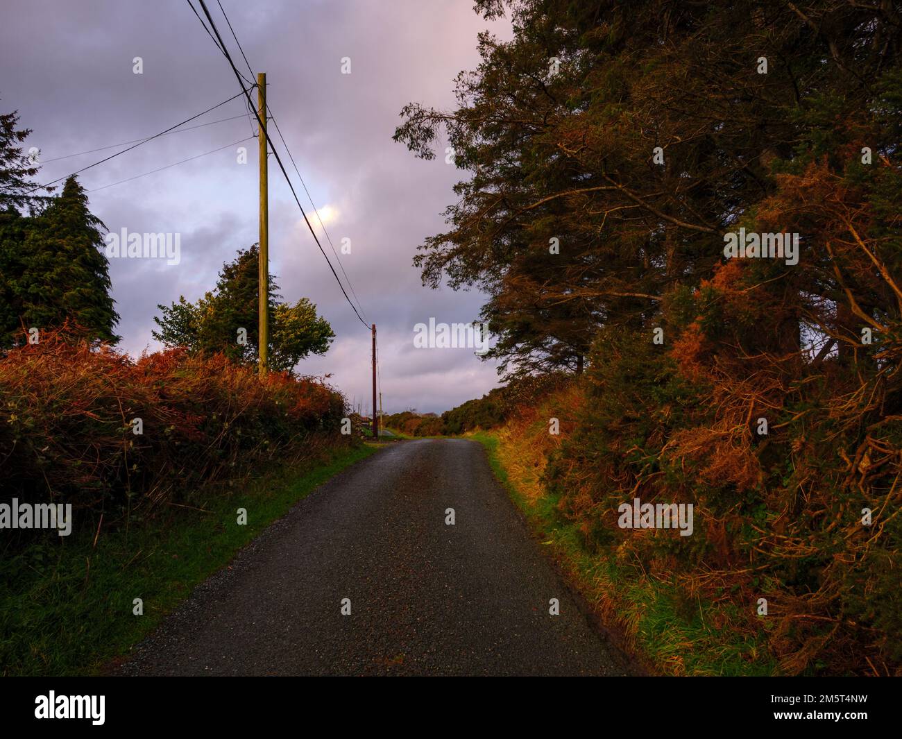 Uk and ireland hi-res stock photography and images - Alamy