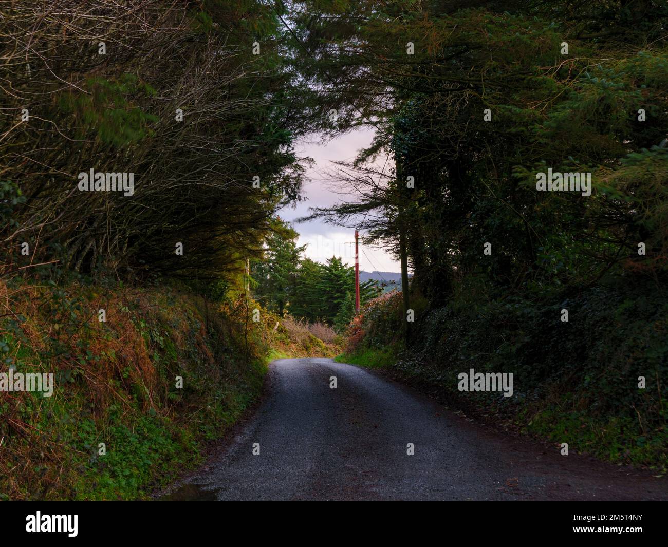 Irish countryside road Stock Photo - Alamy