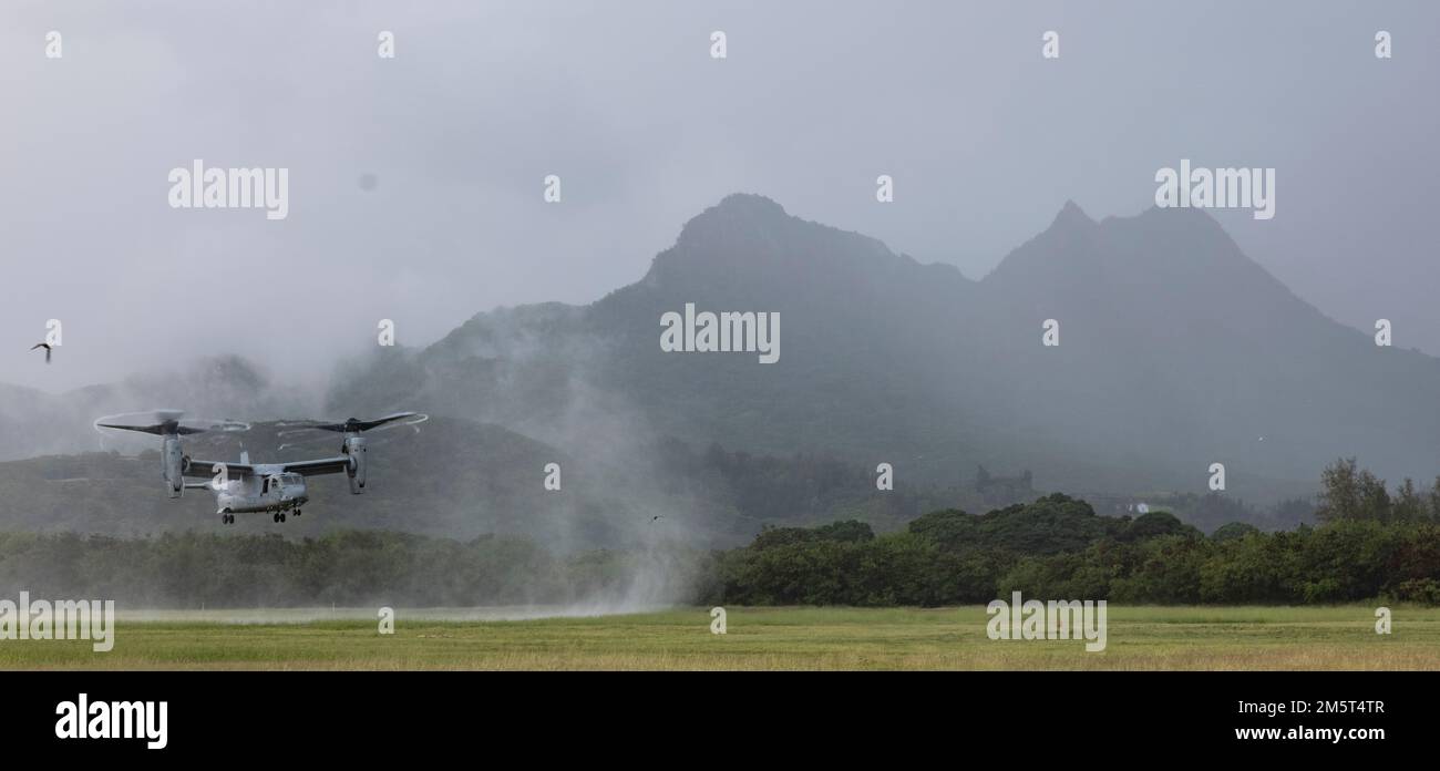 Mcb hawaii hi-res stock photography and images - Alamy