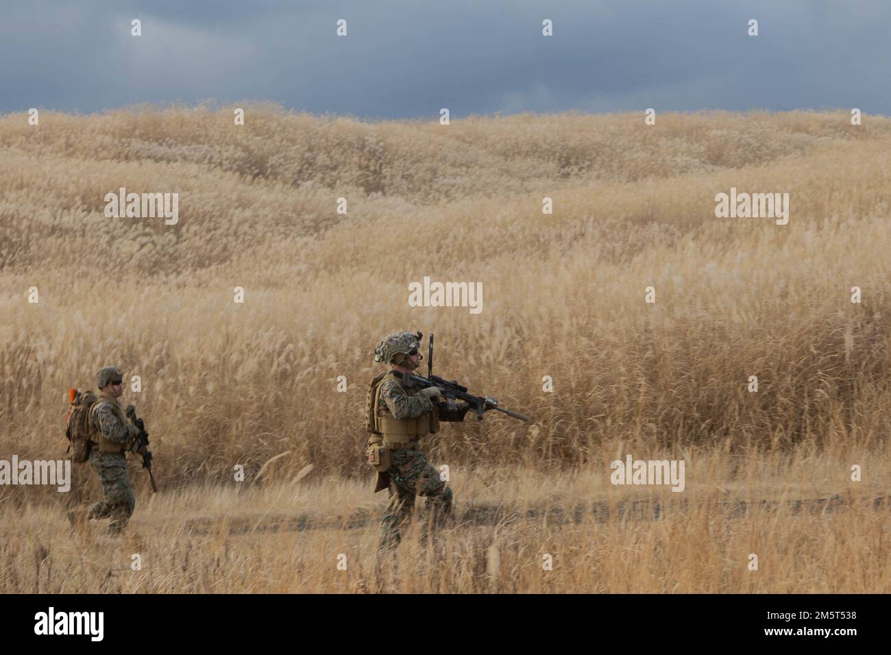 U.S. Marines with 1st Battalion, 2d Marines patrol to their objective ...