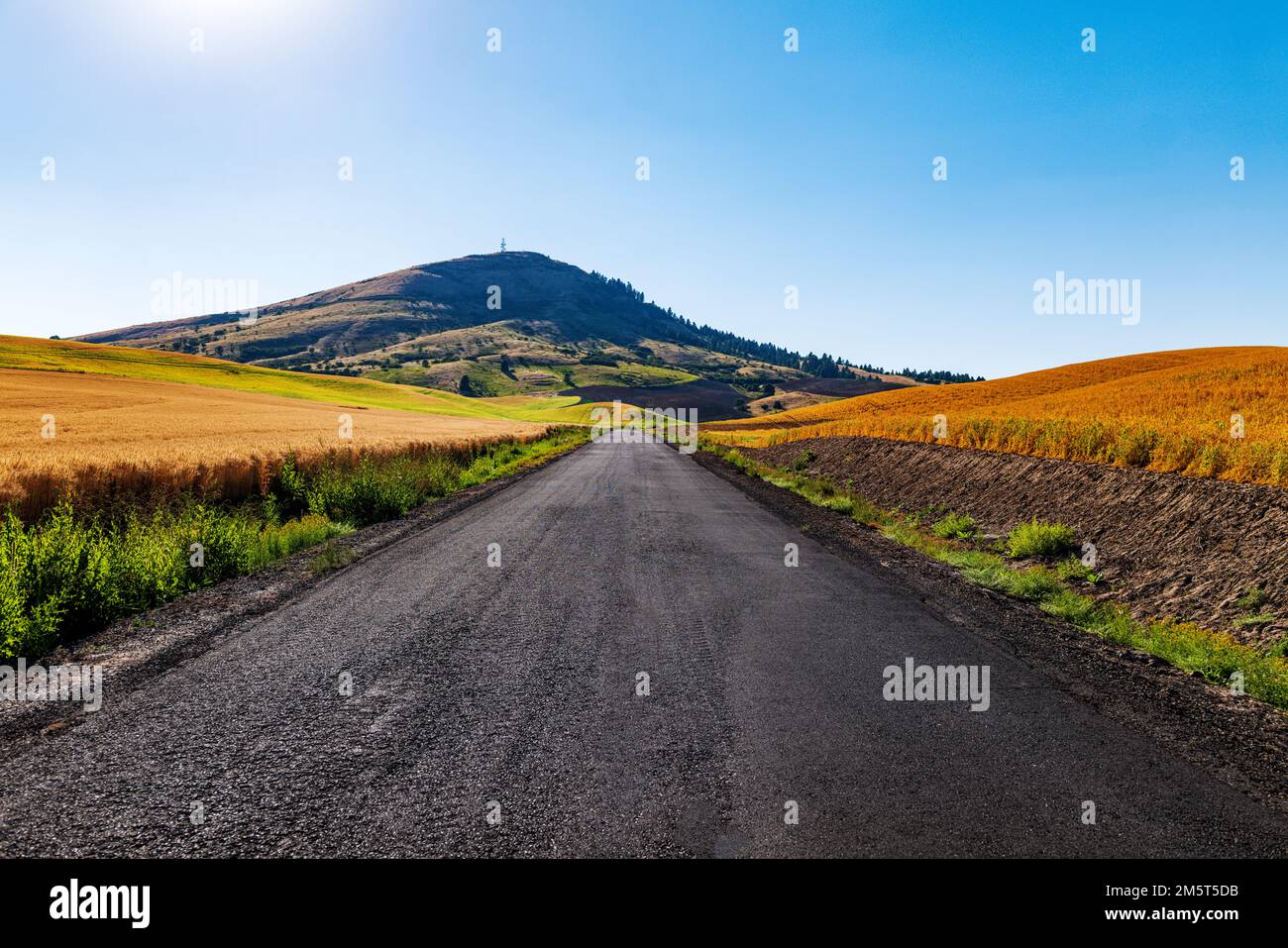 Steptoe Butte; beautiful colorful farm fields; Palouse region ...