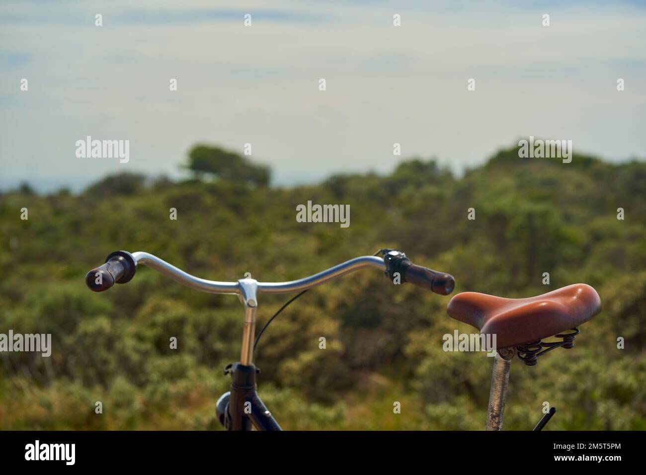 a bicycle against a lush green background Stock Photo - Alamy