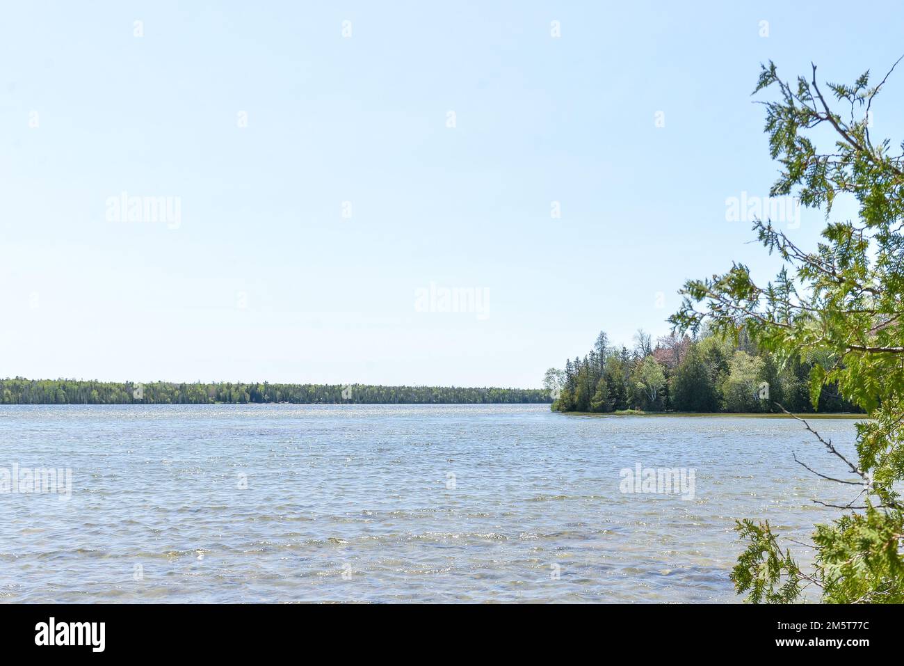 View at forest path walk in Bruce Peninsula national park neat ...