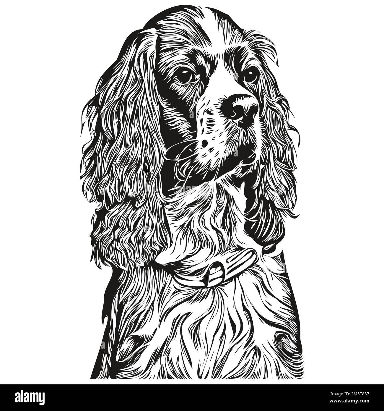 Springer logo Cut Out Stock Images & Pictures - Alamy