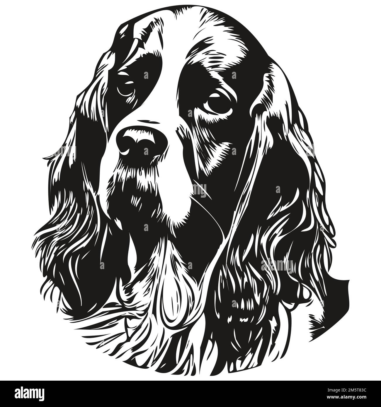 Springer logo Cut Out Stock Images & Pictures - Alamy