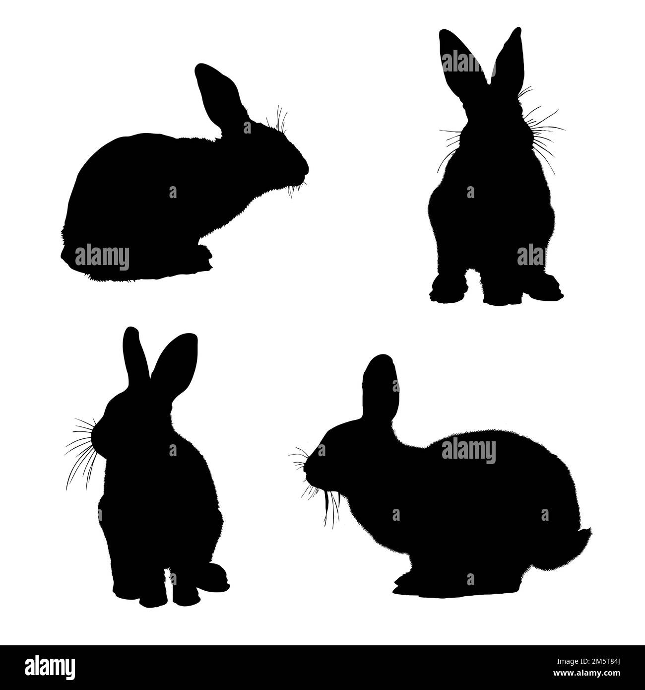 black rabbit silhouette, vector logo Stock Vector Image & Art - Alamy