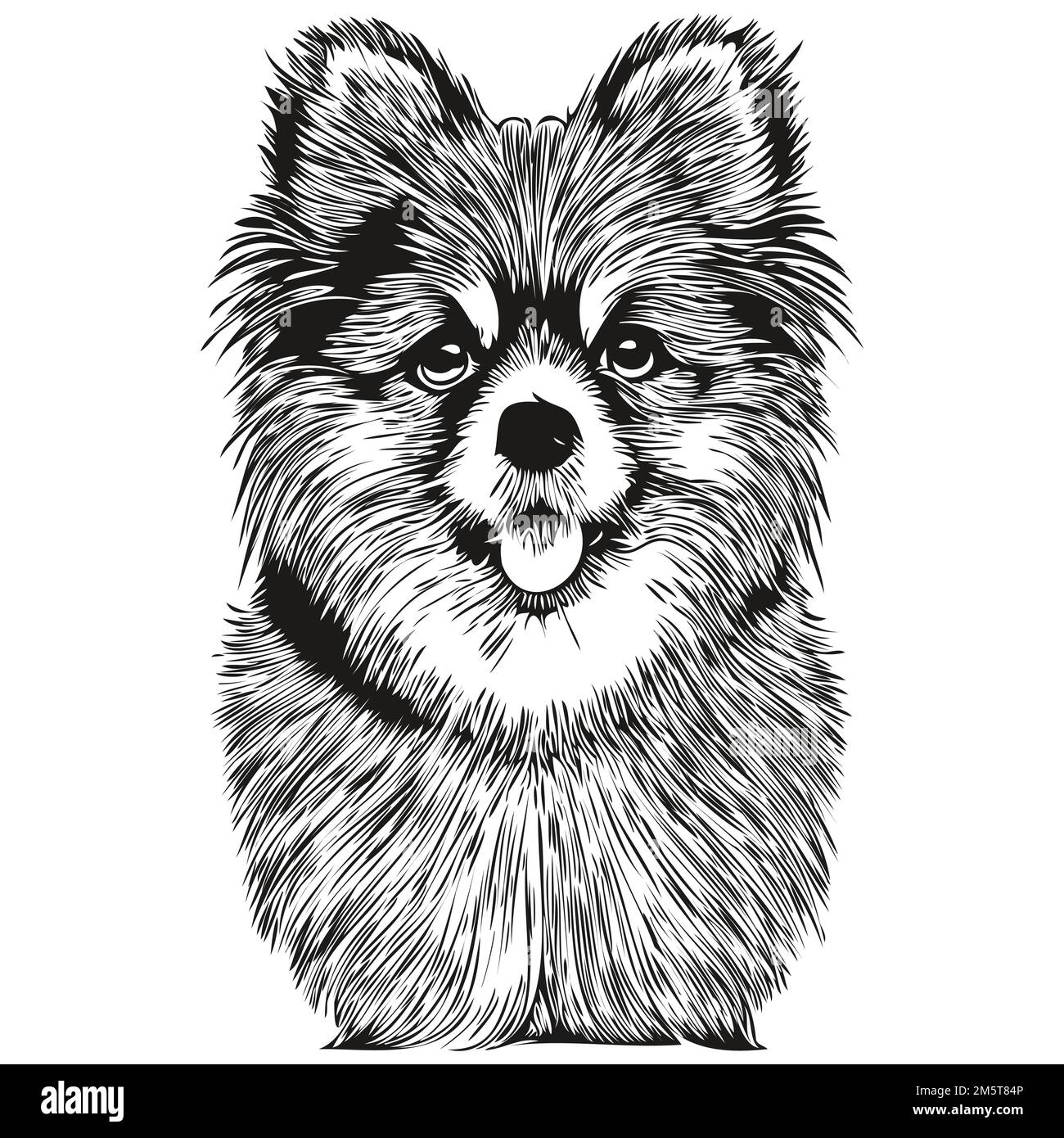 Spitz dog silhouette Cut Out Stock Images & Pictures - Alamy