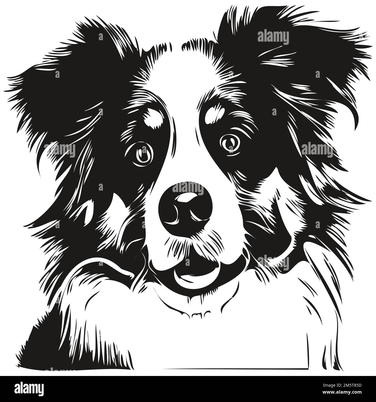 Australian dog vector vectors hi-res stock photography and images - Alamy