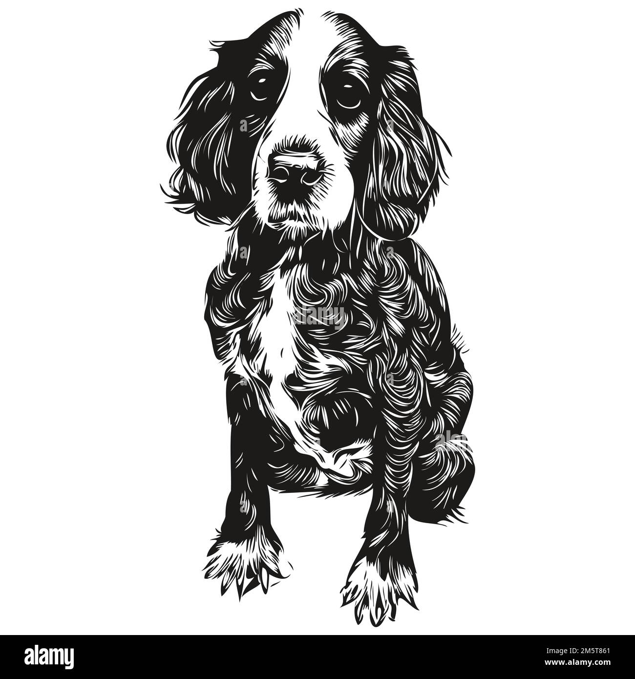 Springer logo Cut Out Stock Images & Pictures - Alamy