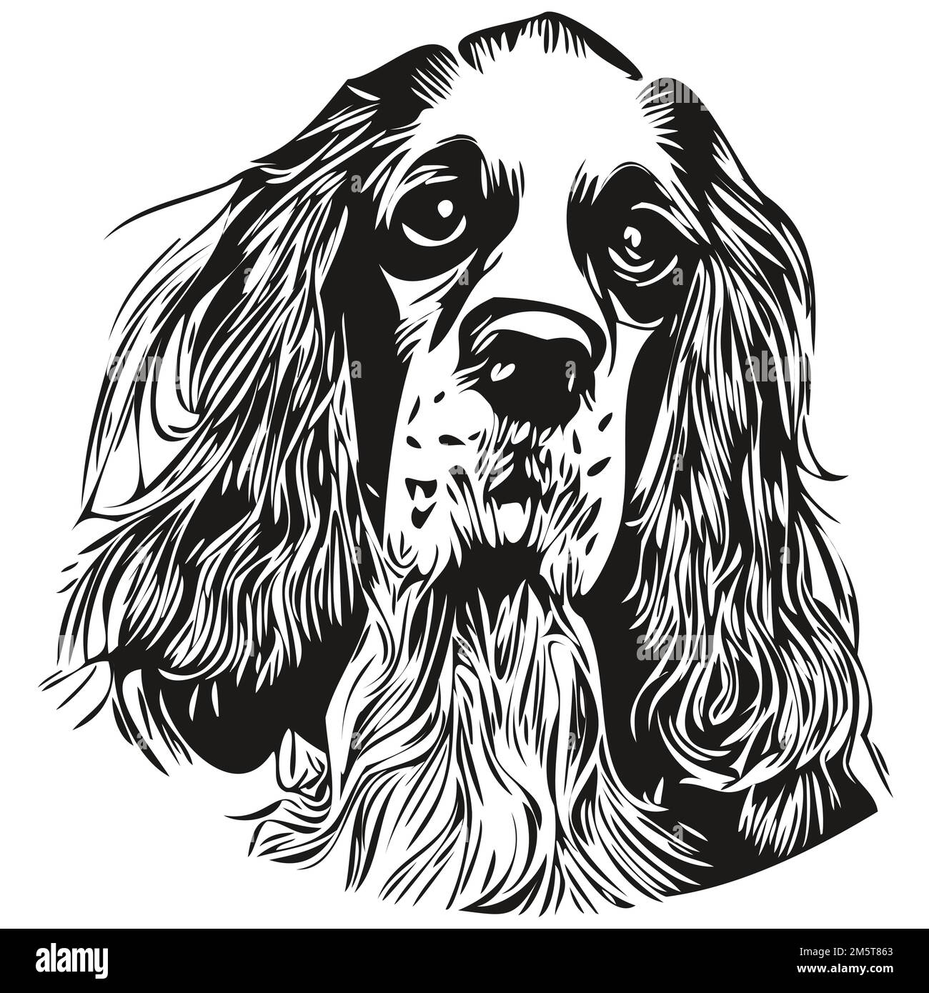 Springer logo Cut Out Stock Images & Pictures - Alamy