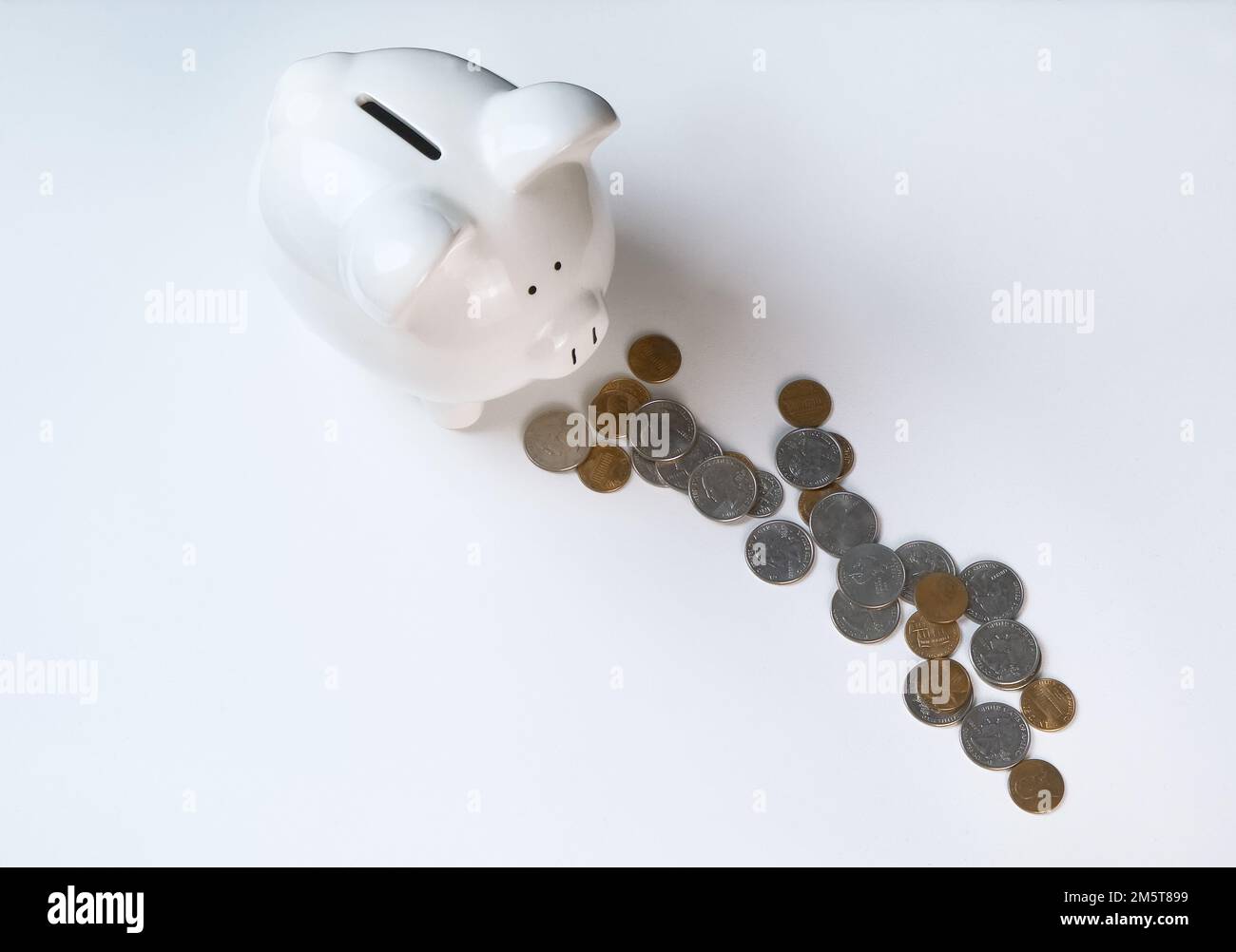 Cute white ceramic piggy bank on a white background with US currency ...