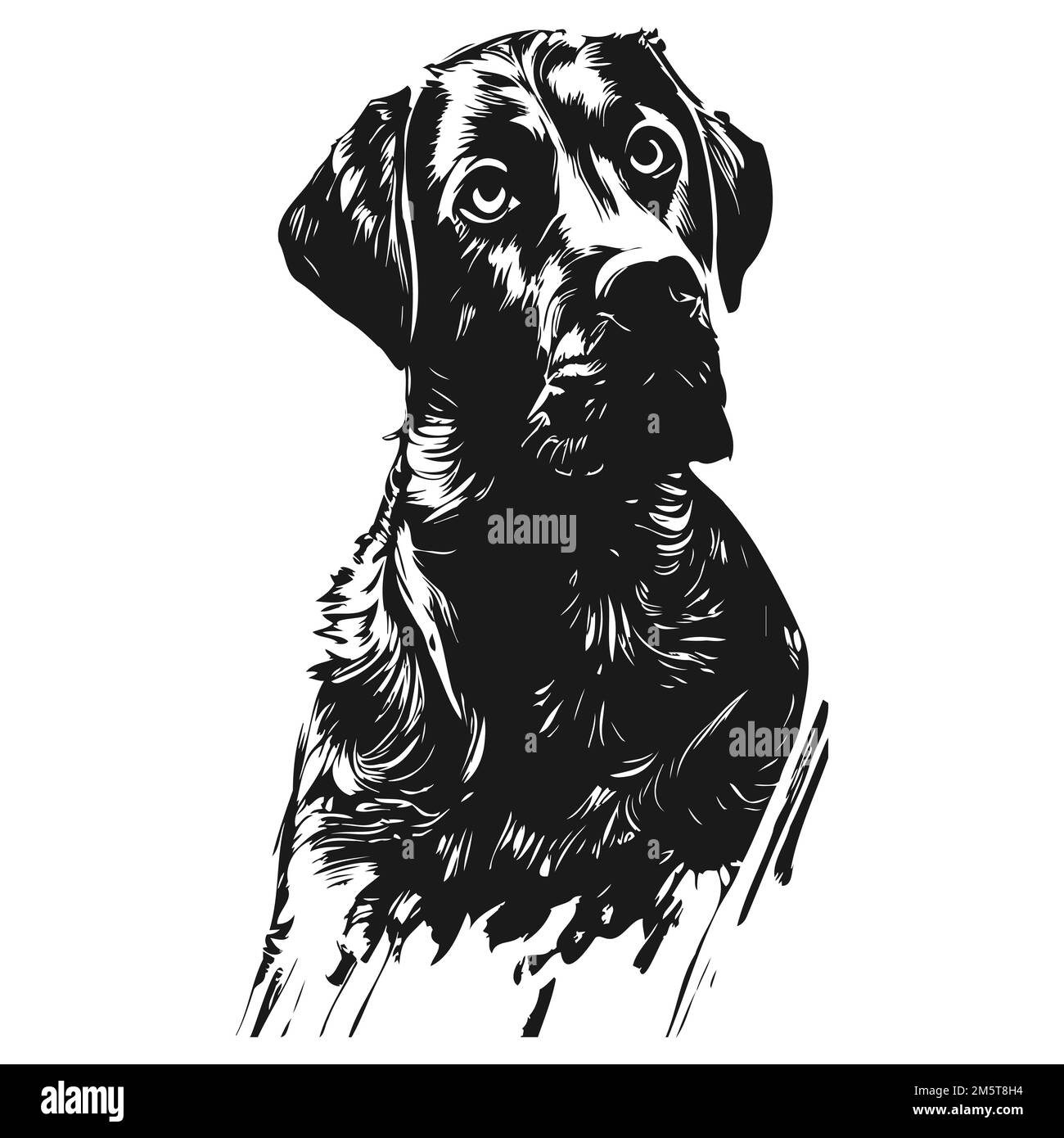 Black Lab Vector