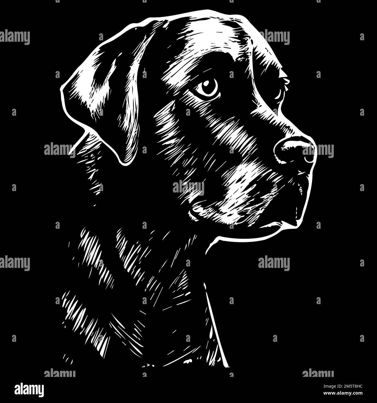 Portrait black labrador Stock Vector Images - Alamy