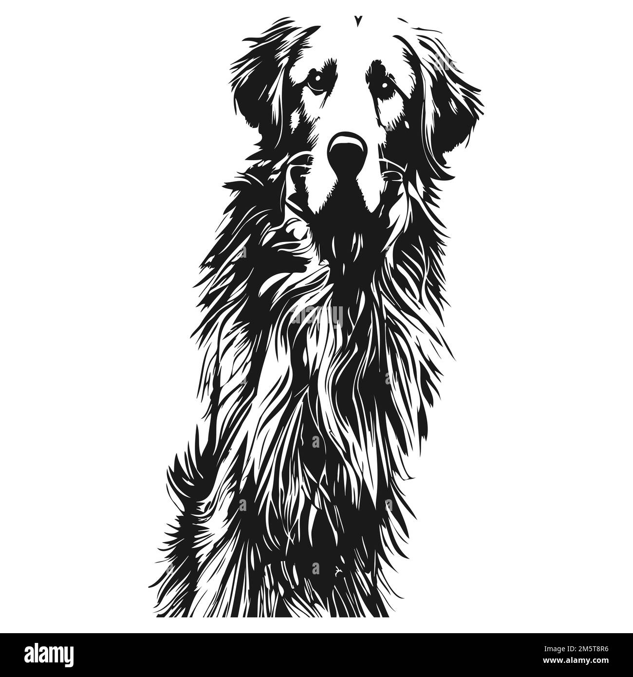 Golden retriever pictures Stock Vector Images - Alamy