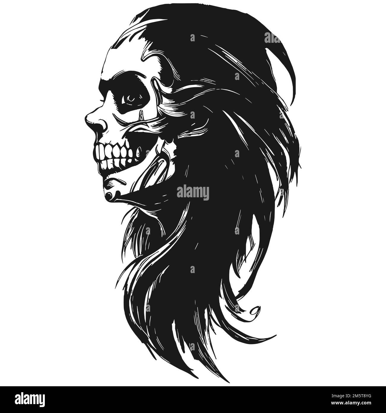 Female skull hi-res stock photography and images - Alamy