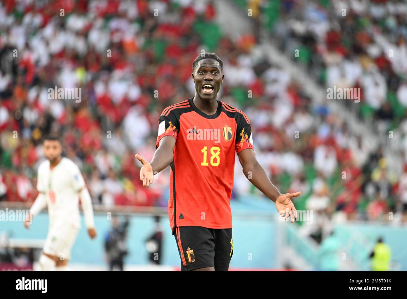 Amadou ONANA in action during the FIFA 2022 World Cup group match ...