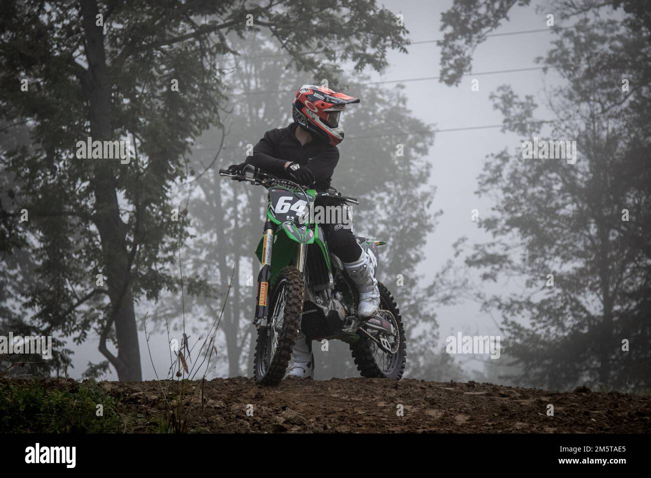 A low-angle shot of a motorcycle on a bike in the mist of the forest ...