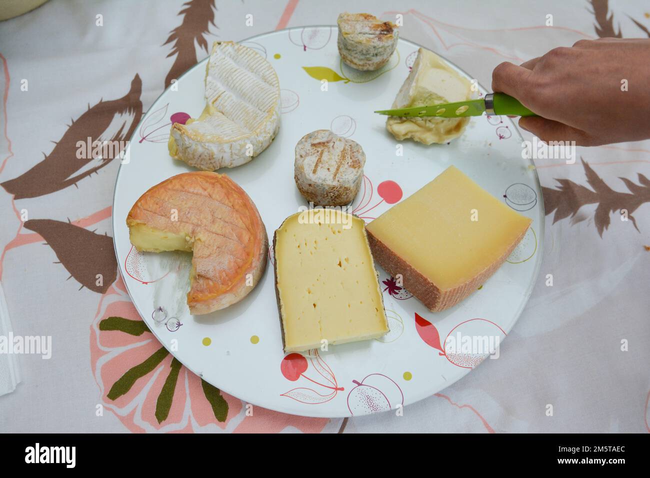 Cheese platter with different cheeses. hand of woman Stock Photo - Alamy