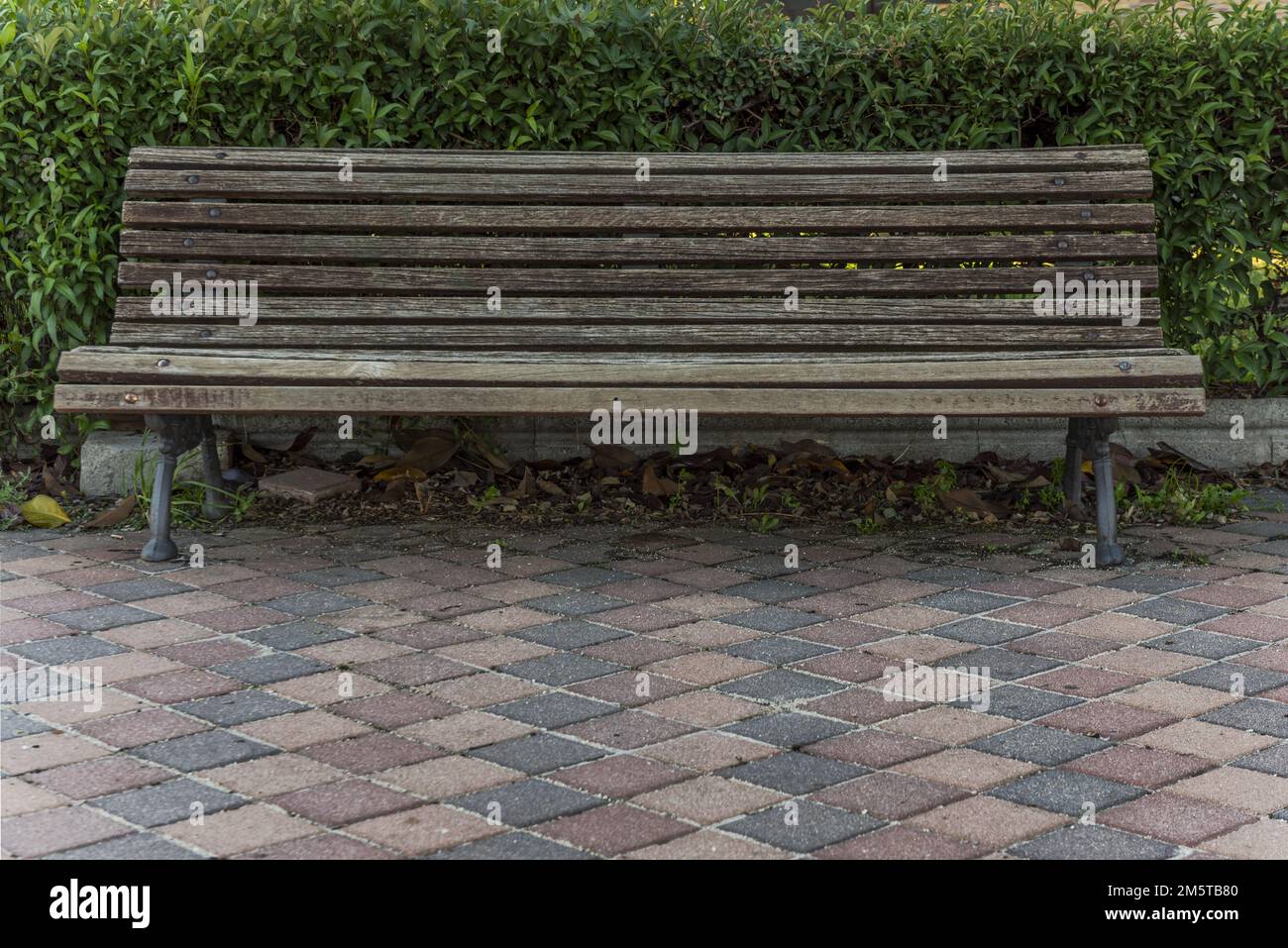 Wooden bench of a municipal garden with hedges and concrete tiled ...