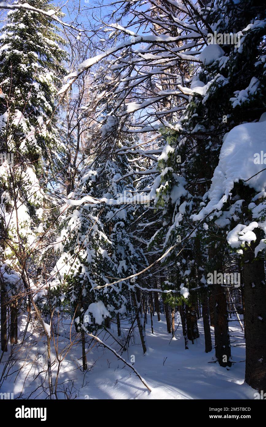 December in Quebec Stock Photo - Alamy