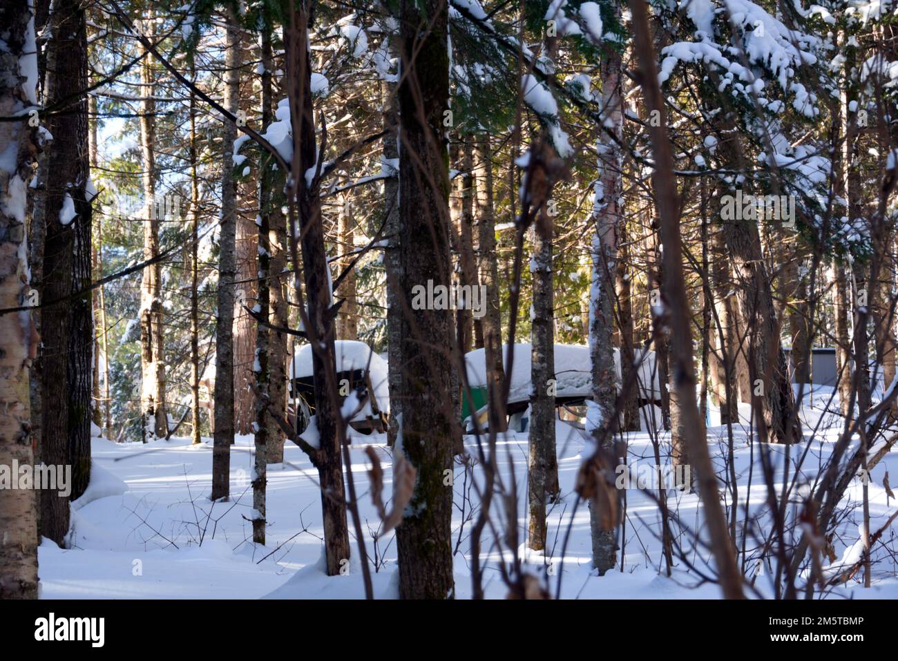 December in Quebec Stock Photo - Alamy