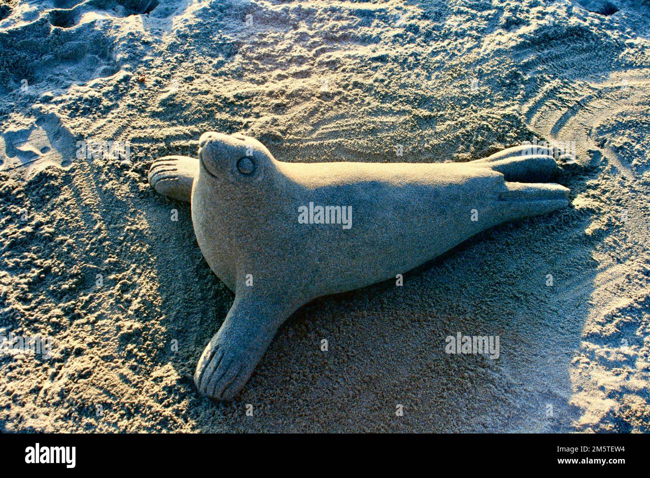 Seal Sand Sculpture Stock Photo - Alamy