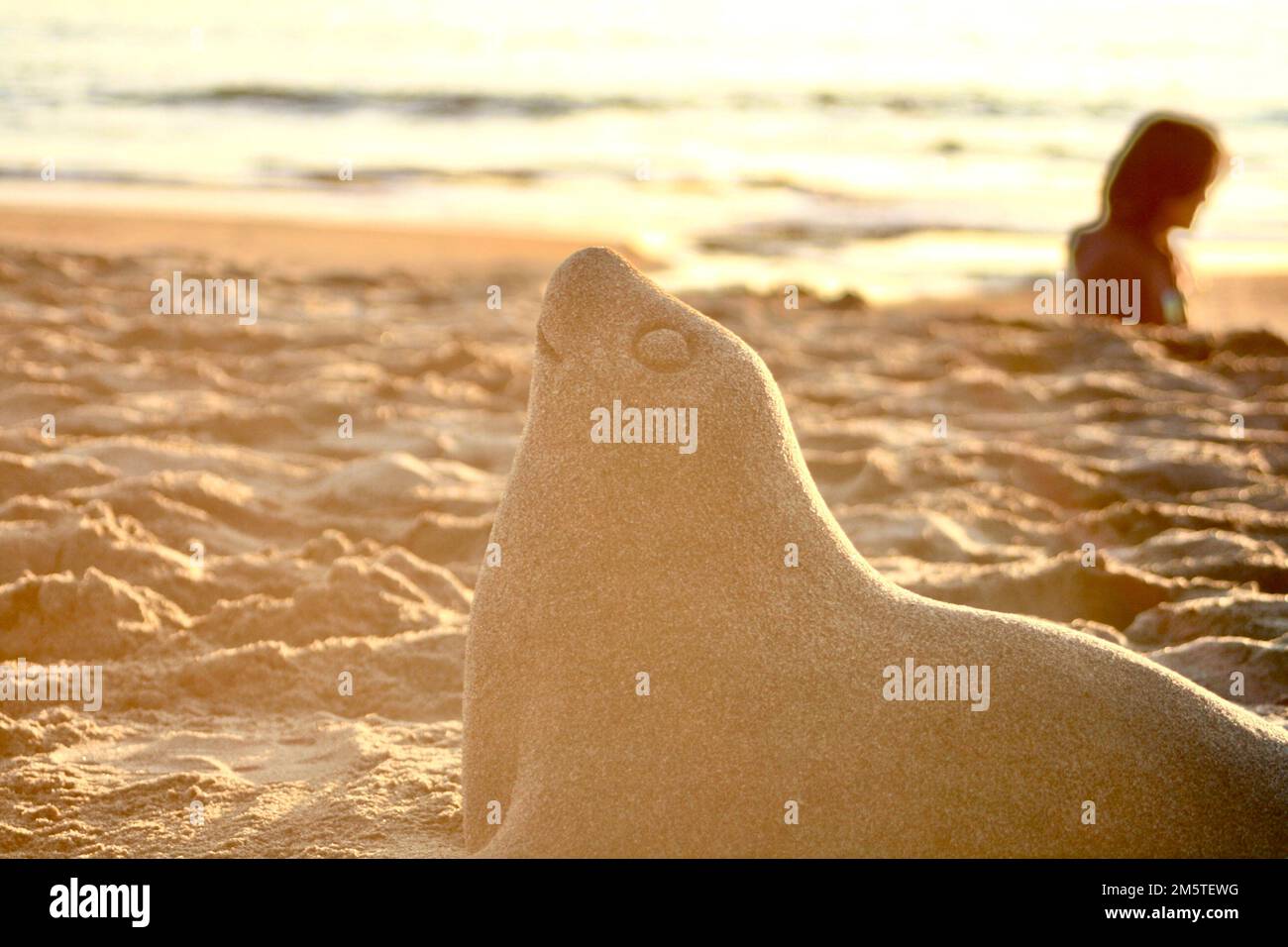 Seal Sand Sculpture Stock Photo - Alamy
