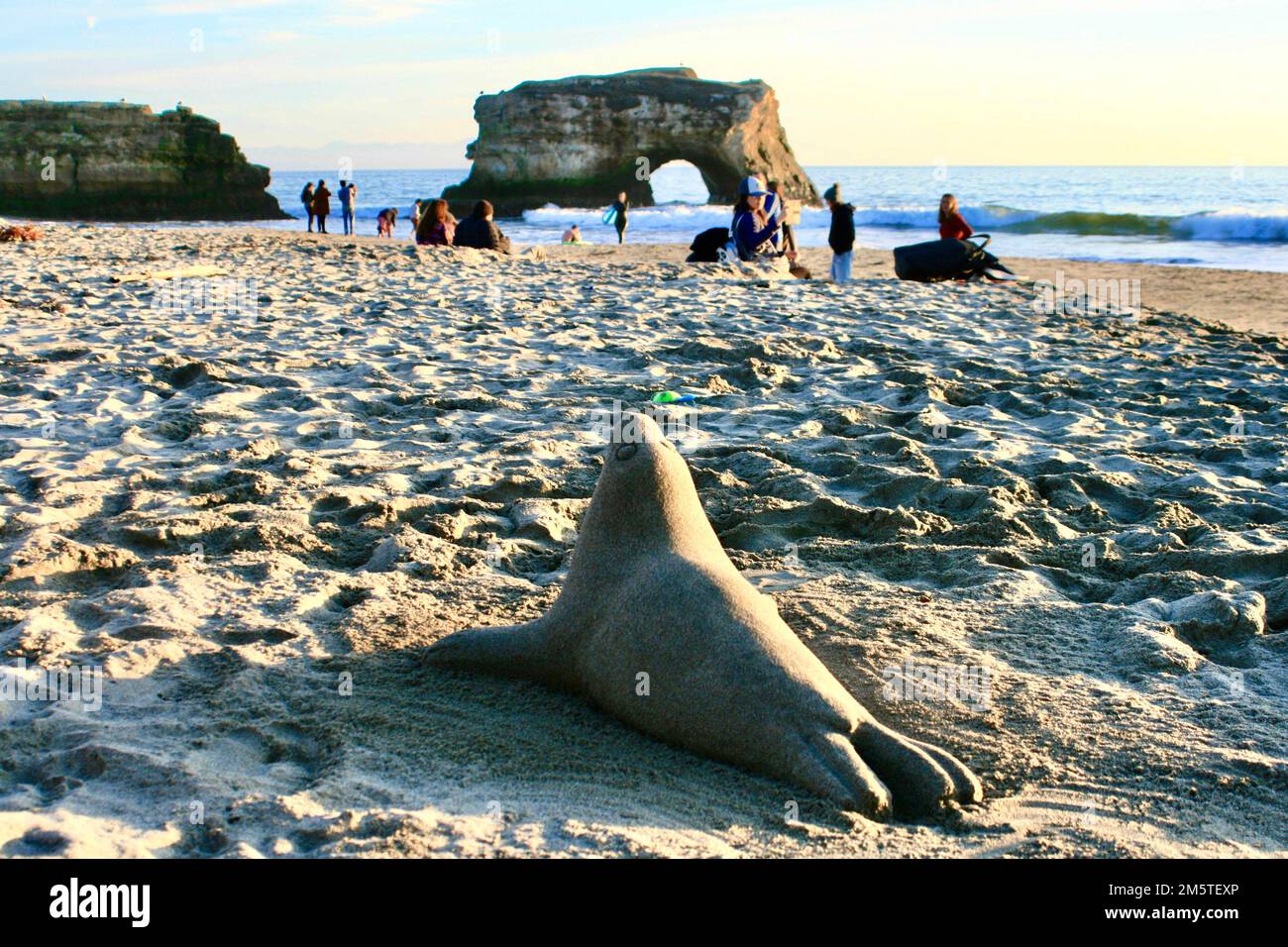 Seal Sand Sculpture Stock Photo - Alamy