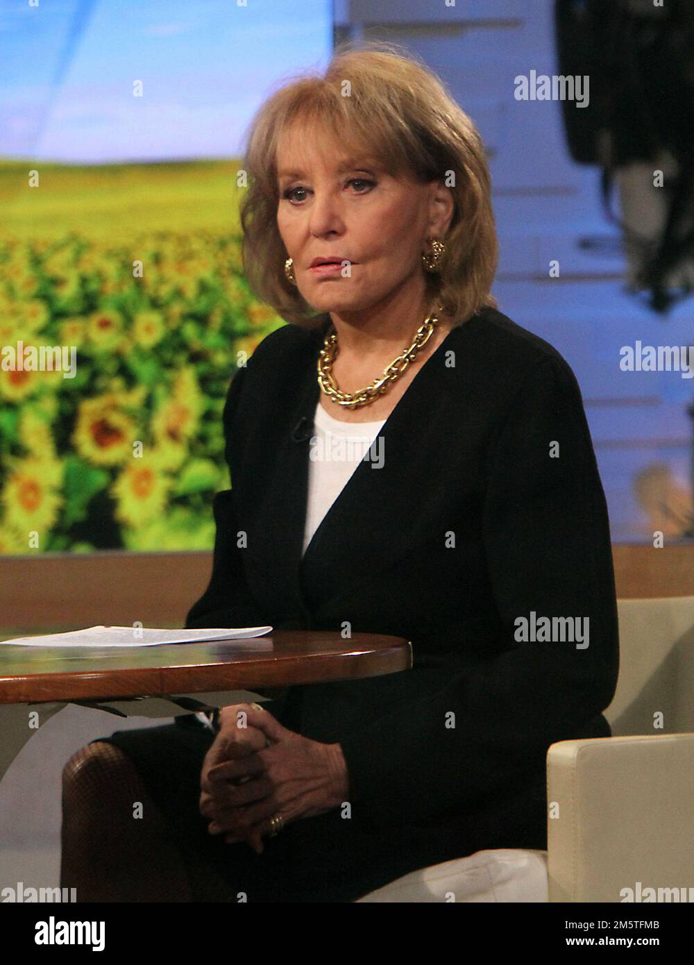 **FILE PHOTO** Barbara Walters Has Passed Away at 93. Barbara Walters ...