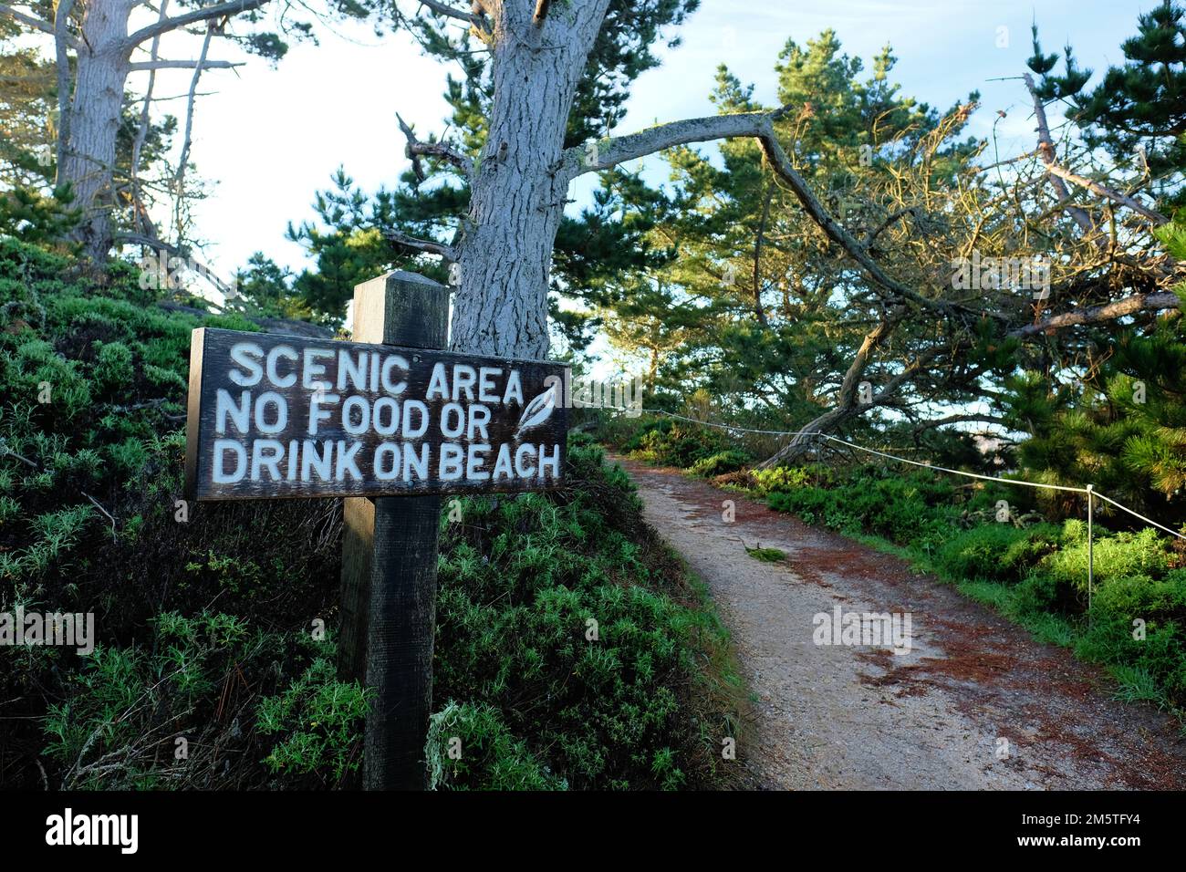 Wooden sign on trail towards beach area at Point Lobos State Natural ...