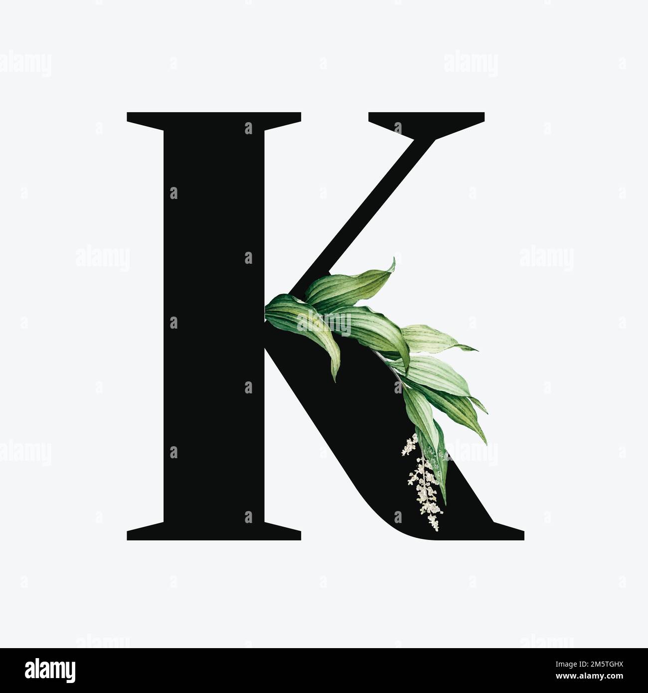 Botanical capital letter K vector Stock Vector Image & Art - Alamy