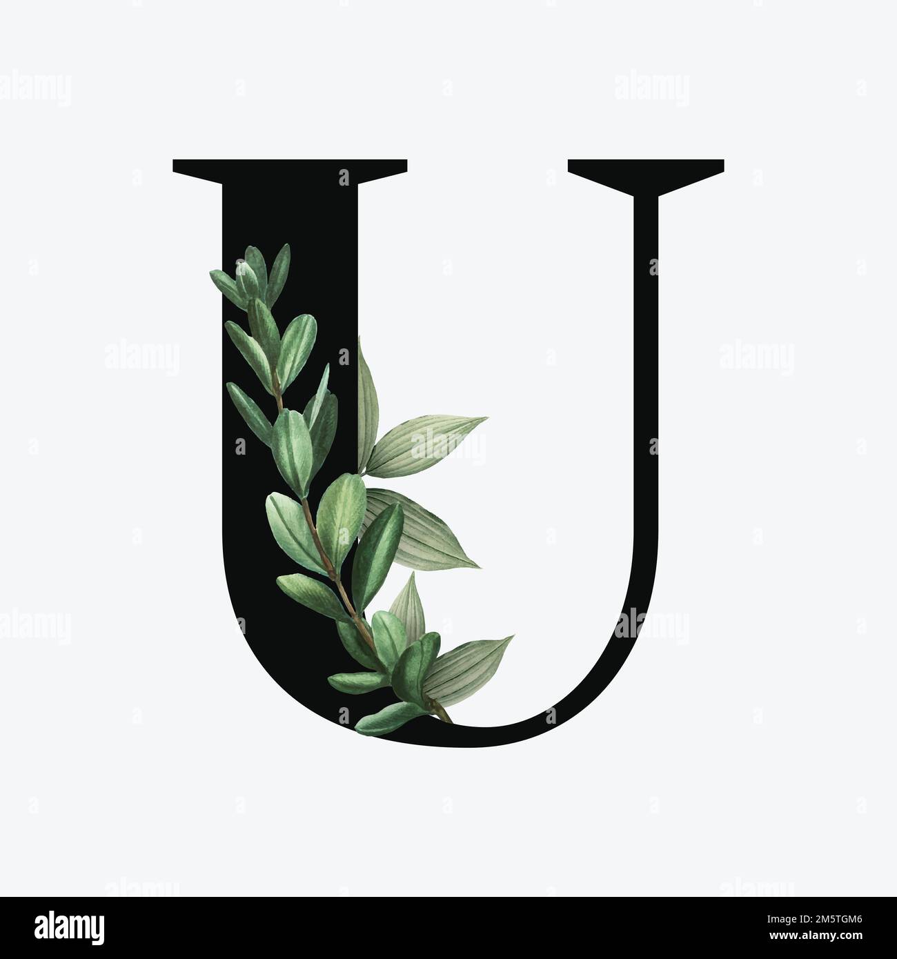Botanical capital letter U vector Stock Vector Image & Art - Alamy