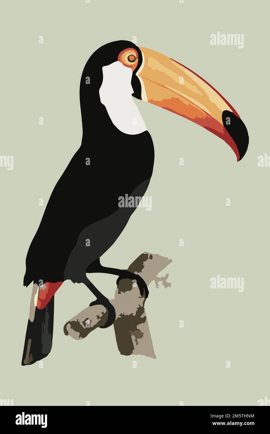Vectorized toucan bird sticker overlay design element Stock Vector ...