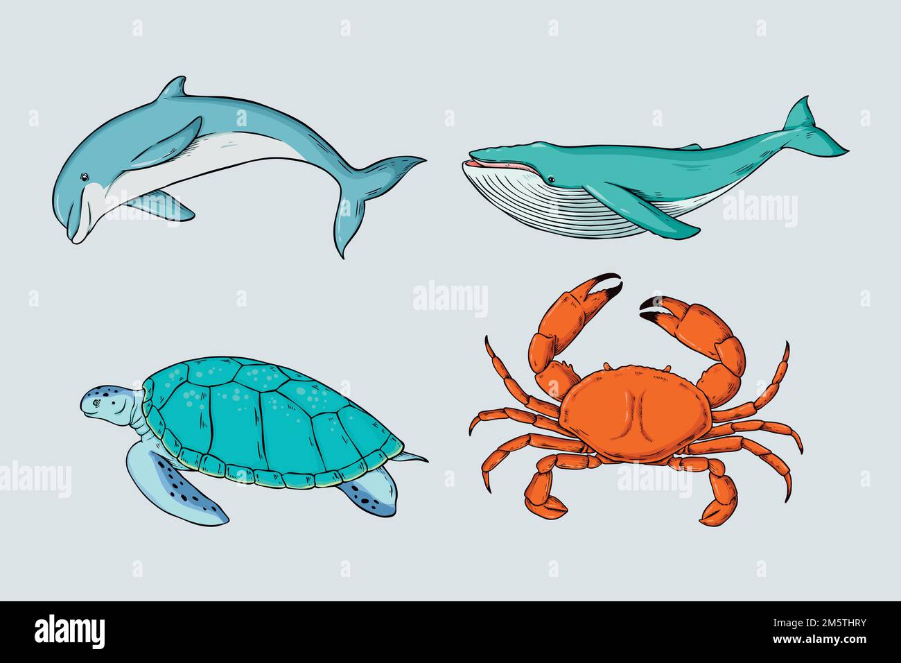 Whale clipart vintage hi-res stock photography and images - Alamy