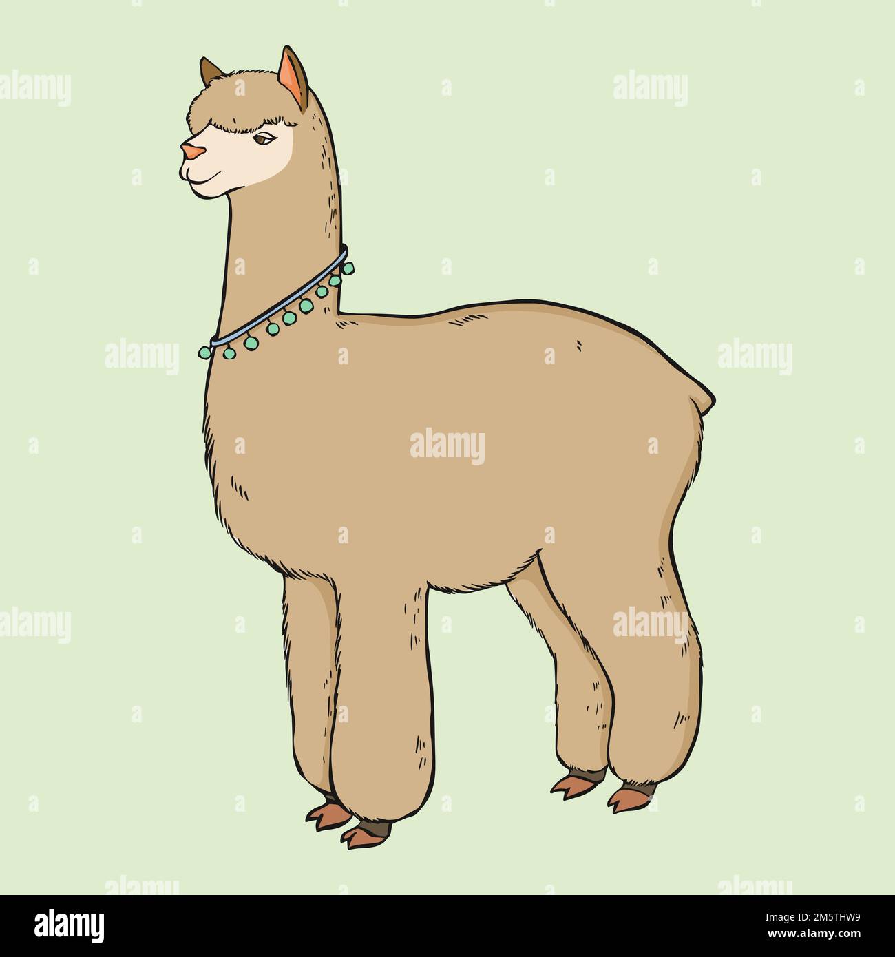 Vector vintage hand drawn lama cartoon clipart Stock Vector Image & Art ...