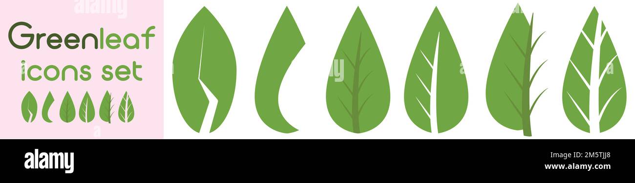 Green leaf icons set. Leafs green color icon logo. Green leaf nature ...
