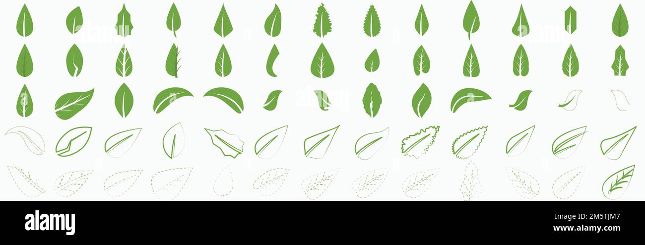 Green leaf icons set. Leafs green color icon logo. Green leaf nature ...