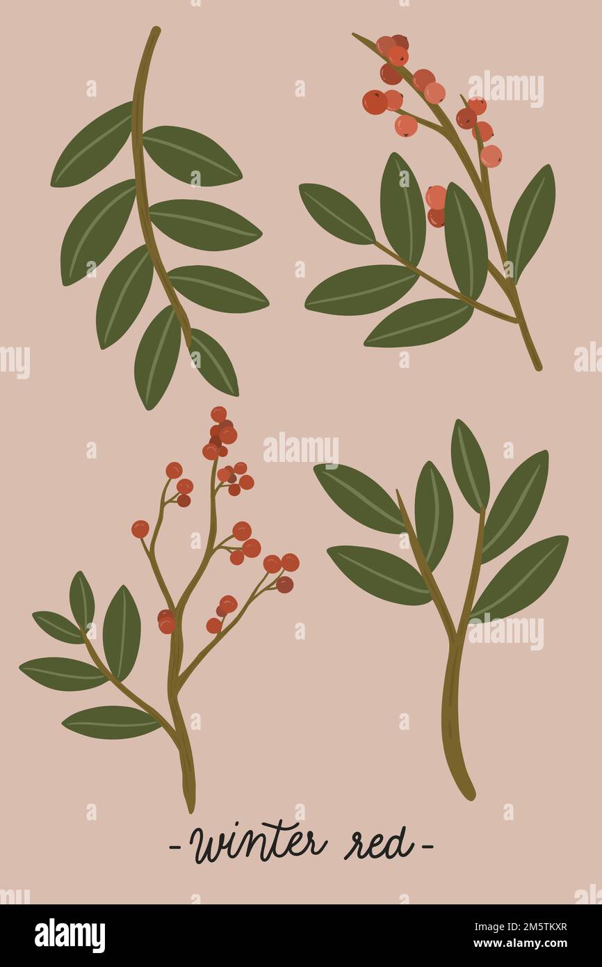 Red winterberry ornament collection vector Stock Vector Image & Art - Alamy