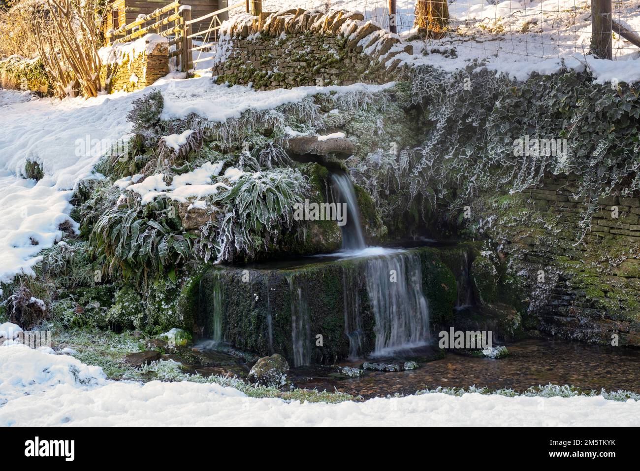 Winter snow on the stone crocodile spring water spout in the cotswold ...