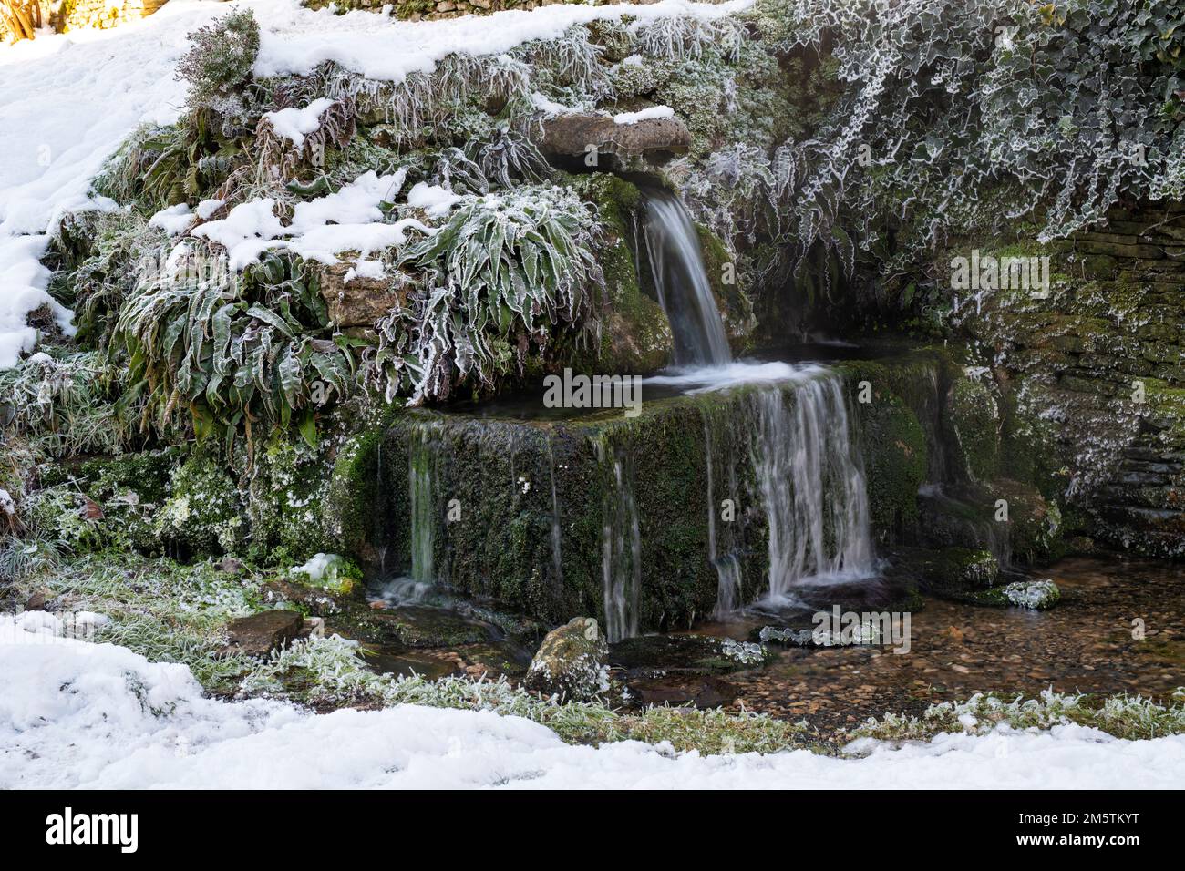 Winter snow on the stone crocodile spring water spout in the cotswold ...
