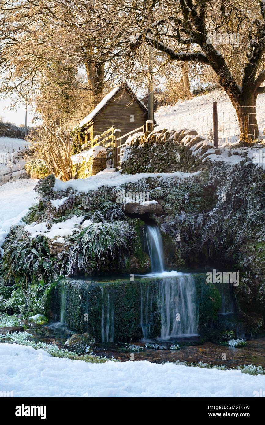 Ice crocodile sculpture hi-res stock photography and images - Alamy