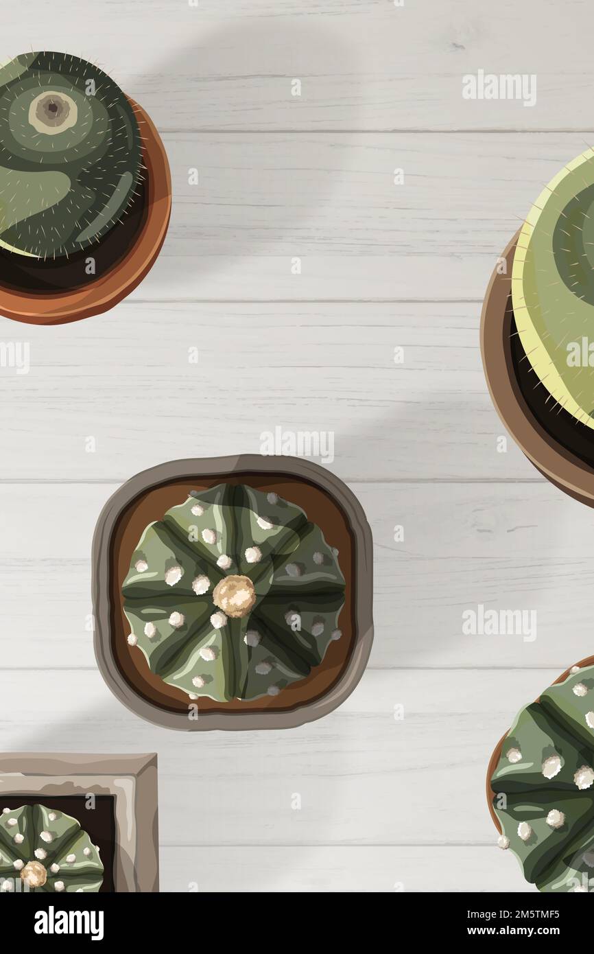 Top view on feminine Stock Vector Images - Alamy