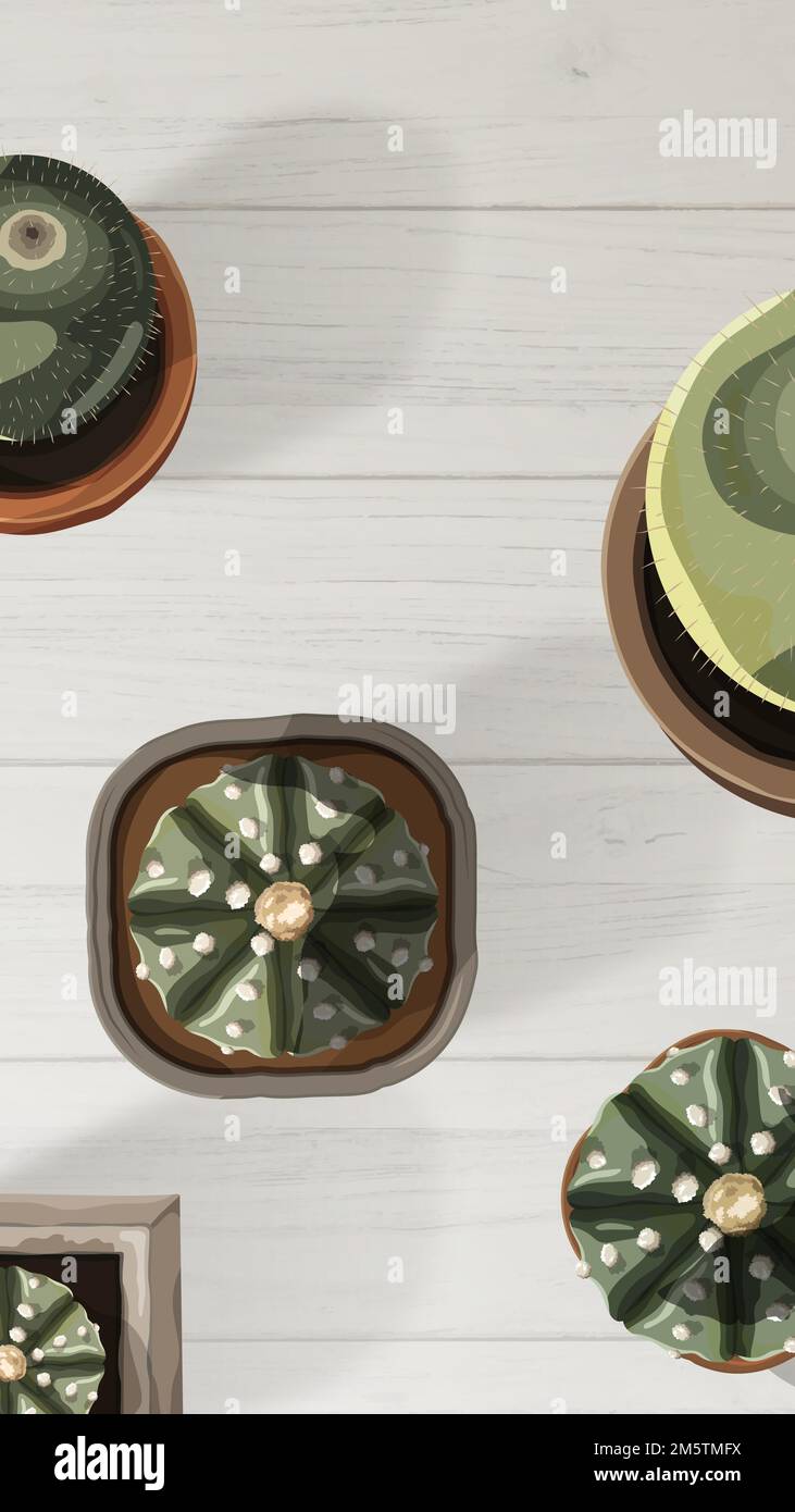 Aerial view of cactus on a white table mobile phone wallpaper vector ...