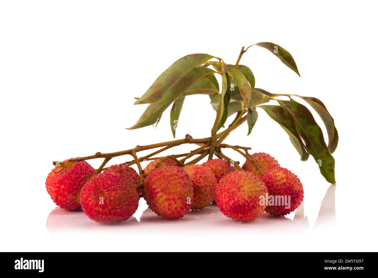 Fresh lychees isolated on white background Stock Photo - Alamy